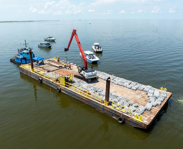 'Cajun coral' builds an artificial reef off Louisiana coast ...