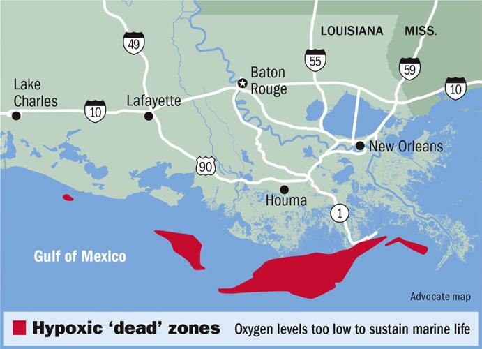 Gulf of Mexico 2018 'dead zone' smaller than expected, but still as big ...