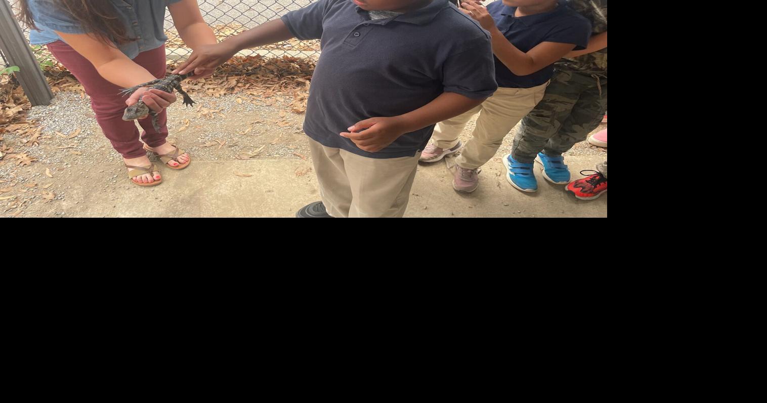 Slaughter Elementary School students meet live alligators | East ...