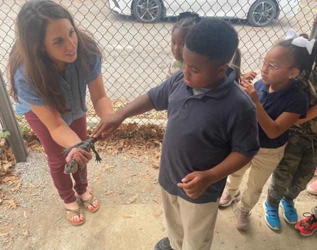 Slaughter Elementary School students meet live alligators | East Feliciana | theadvocate.com