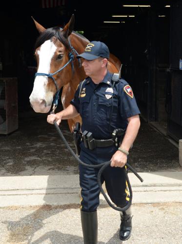 Photos: New Lafayette Police Horse named in honor of fallen officer Lt ...