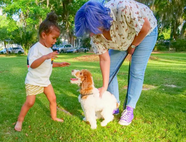 Konspiracy entertains at Vibes in the Ville | St. Francisville ...