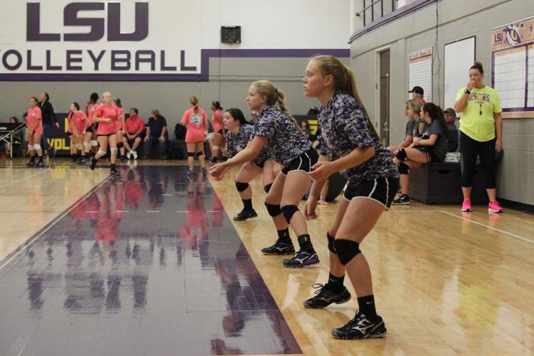 Ascension Catholic volleyball players build court skills | Ascension ...
