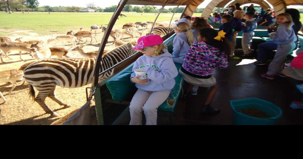 Galvez Primary 1st-graders visit Global Wildlife Center | Ascension ...