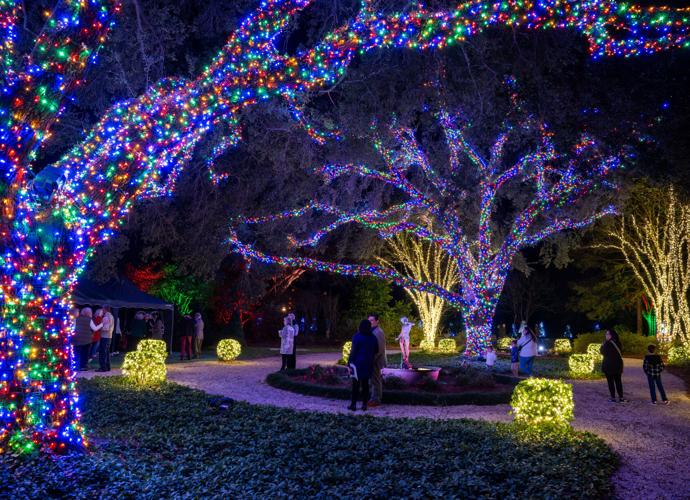 Louisiana Lights at Windrush Gardens transform the landscape | Baton ...