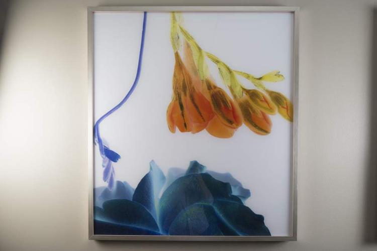 'It helps you win that fight': Cancer Center's artwork chosen to help ...