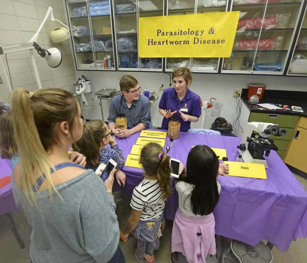 Photos: LSU Vet School hosts annual Open House | Photos | theadvocate.com