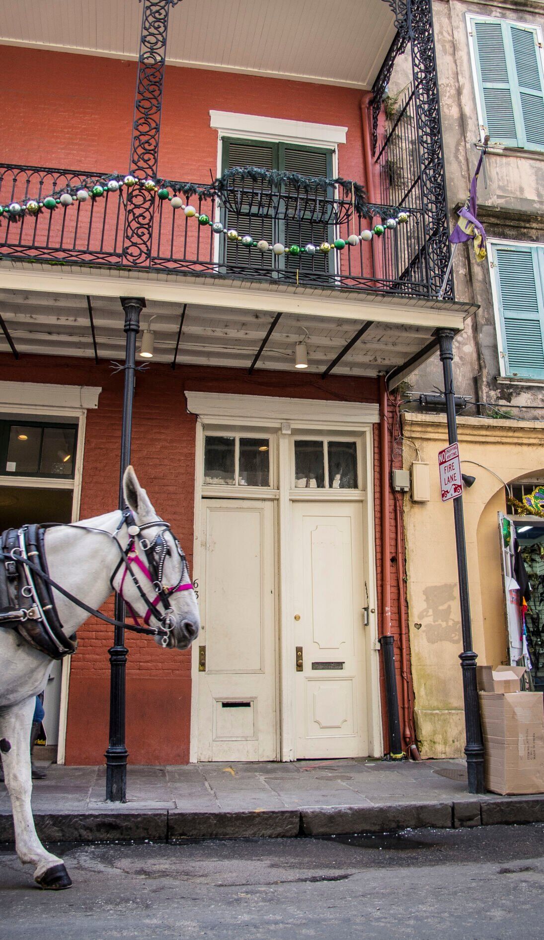 Where did playwright Tennessee Williams live in New Orleans ...