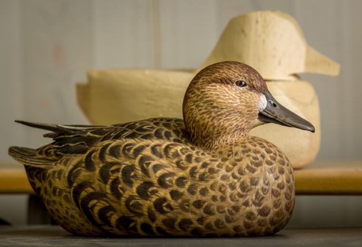 Award-winning duck carver loves whittling down the competition | St ...