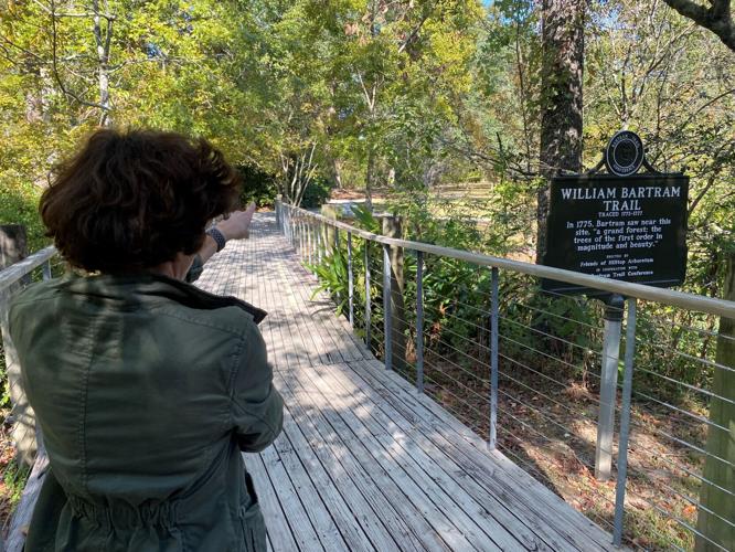 LSU Hilltop Arboretum is a quiet place of comfort, learning ...