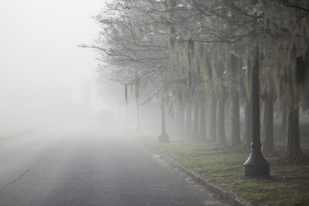 Dense fog hits south Louisiana, including some super fog | Weather ...