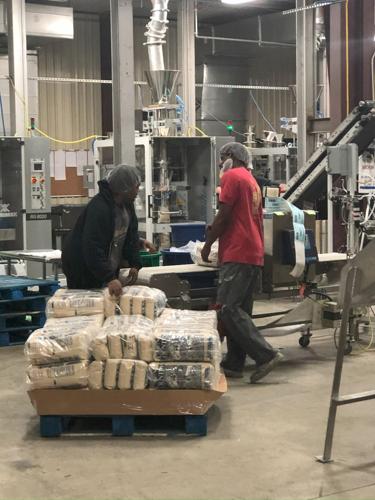 Hunt for marsh bird at Yellow Rails and Rice Festival | Festivals ...