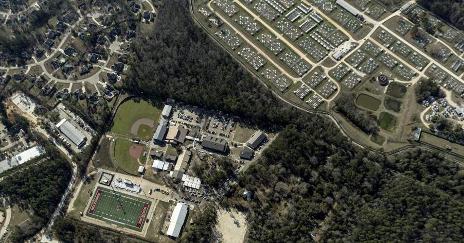 The little-known Tulane primate center: What sort of research is done ...