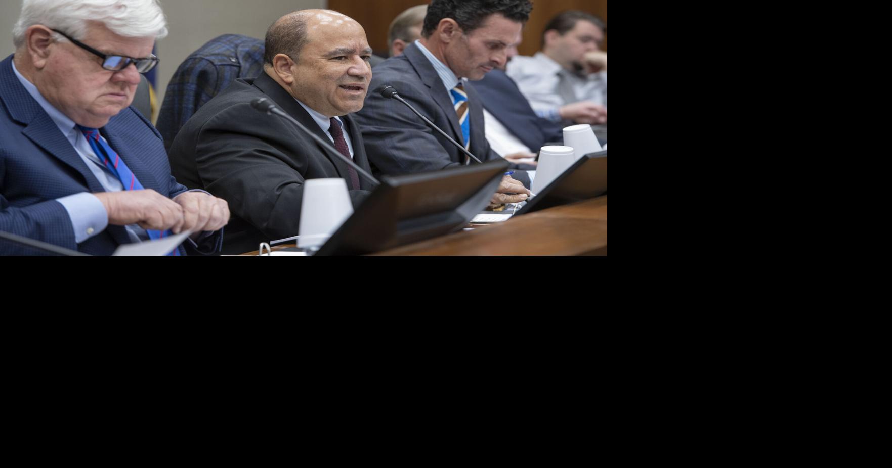 Lambert Boissiere faces off with two biggest challengers on renewables ...