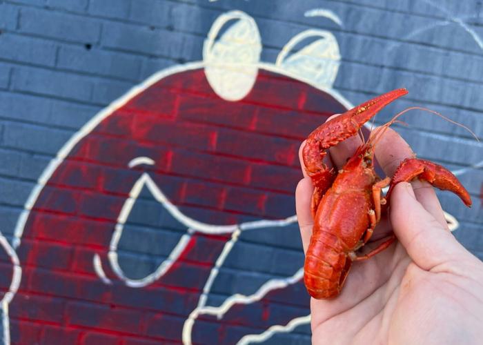 Frozen crawfish in New Orleans are cheaper in both ways | Entertainment ...