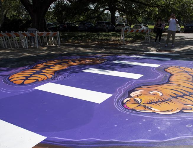 LSU campus pedestrian accidents spark students into action | News ...
