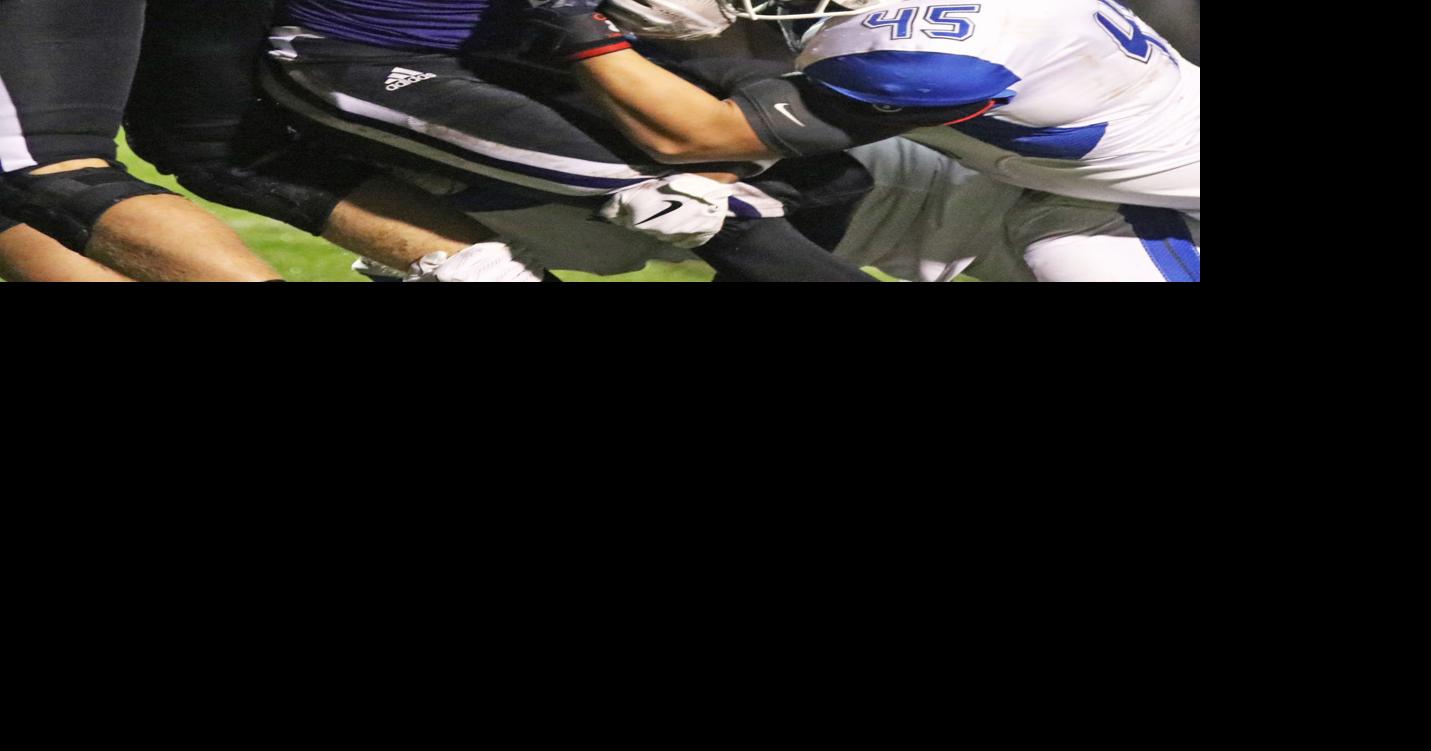 Short-handed Dutchtown cruises past McKinley, ending the Panthers' long ...