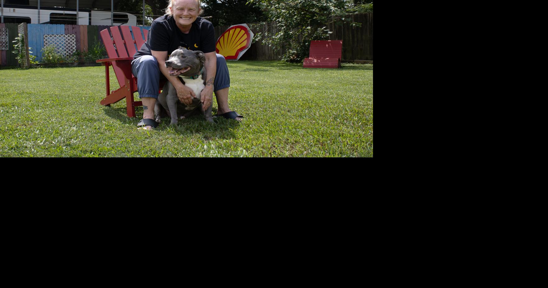 Lake Charles Pit Bull Rescue continues despite tough economy ...