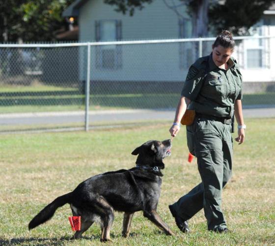 EBR Sheriff’s K9 teams earn top honors | Zachary | theadvocate.com