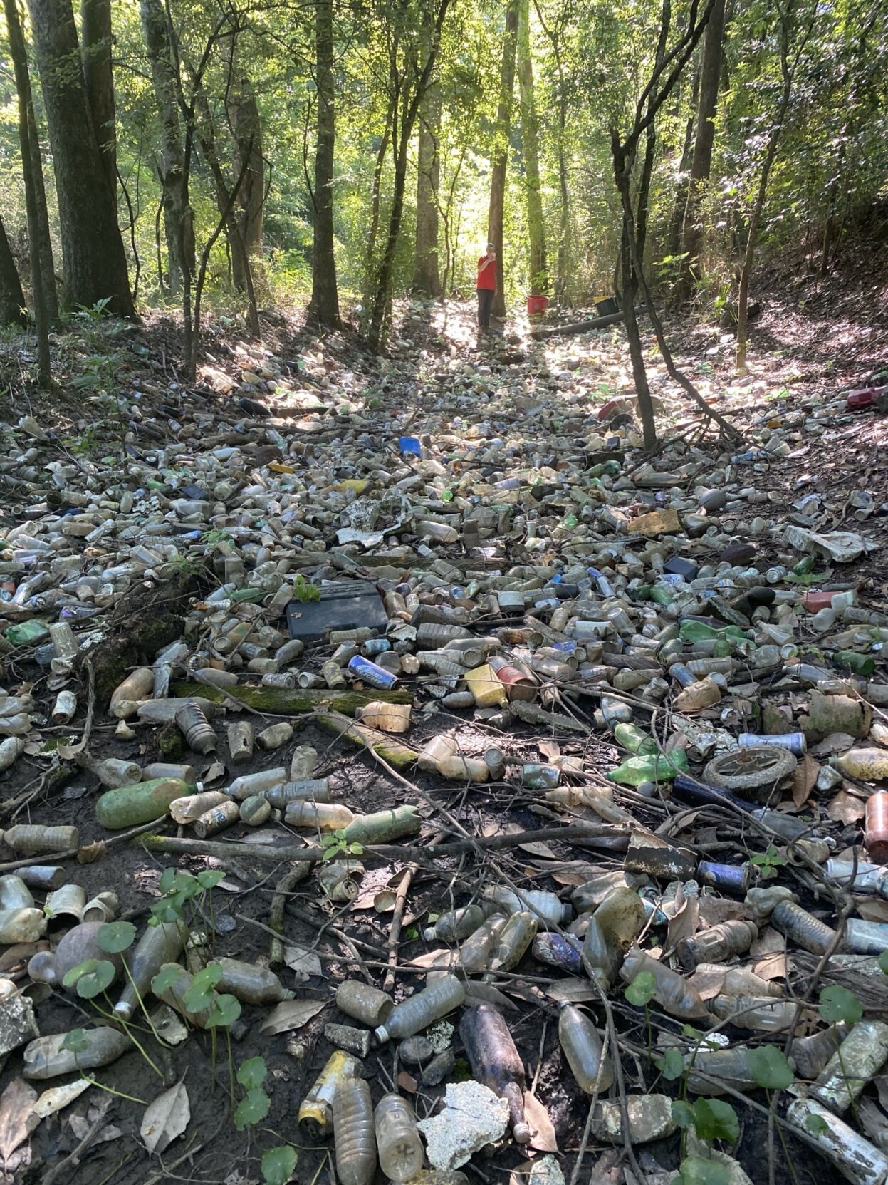 How Osprey Initiative fights Louisiana litter | Environment ...
