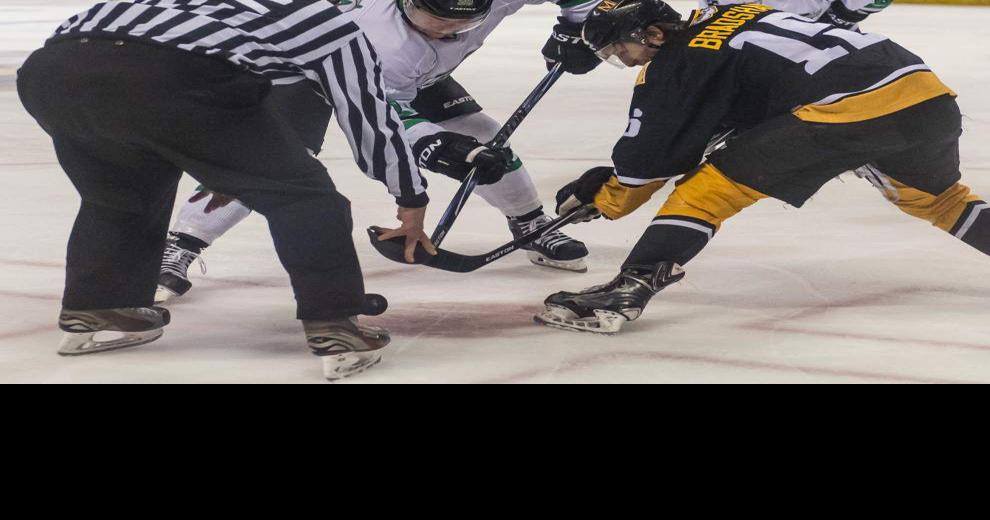 IceGators hockey team made Lafayette home for many years | 200 for 200 ...