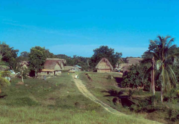 LSU professor discovers site of oldest Maya salt works | Entertainment ...