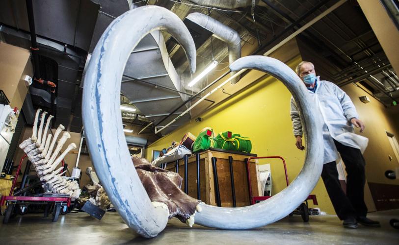 Lafayette Science Museum opens Saturday after one-year closure; here's ...