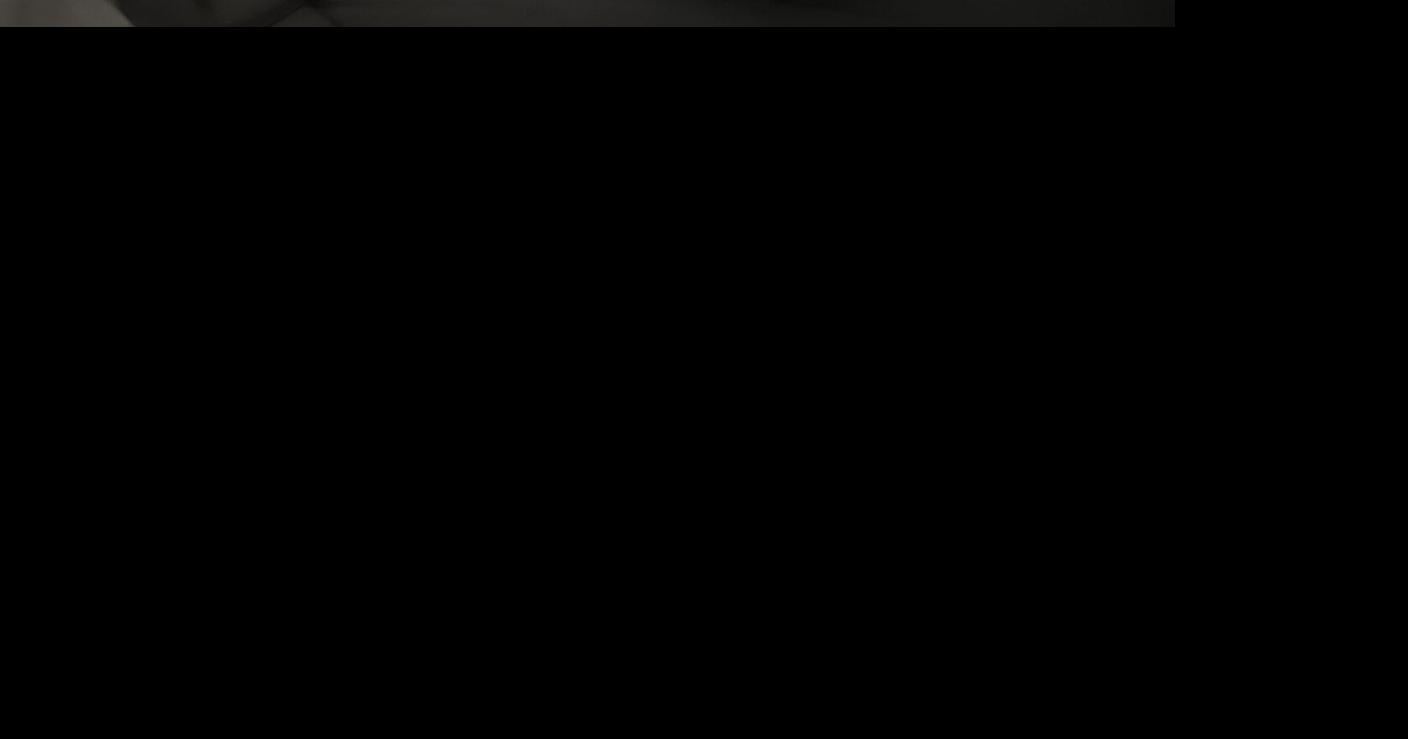 Lafayette animal shelter names pups after Taylor Swift eras ...