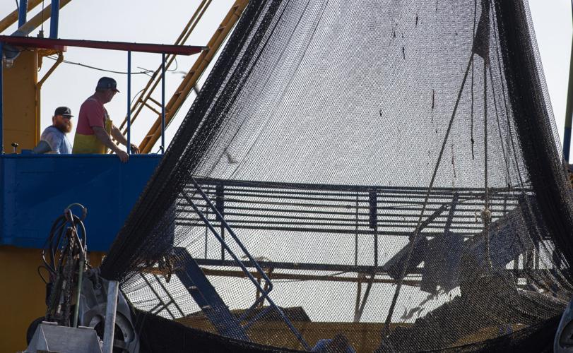 New Louisiana pogy boat rules could hurt profits: report | Environment ...