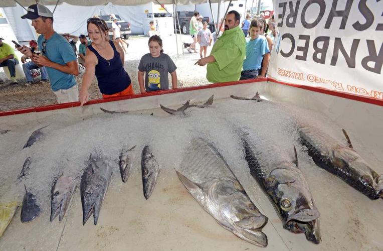 Photos: Grand Isle Tarpon Rodeo Day 4 | News | theadvocate.com