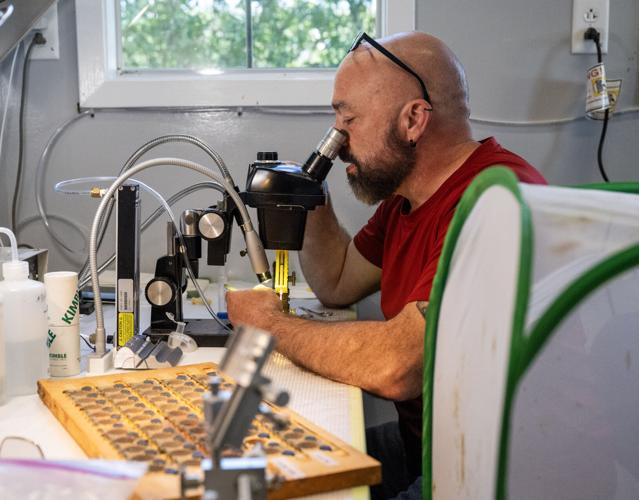 In Baton Rouge, scientists cross pollinate at Honey Bee Lab ...