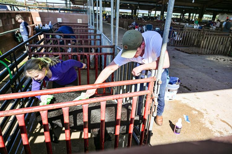2,000 youth livestock exhibitors to show their animals at the LSU ...