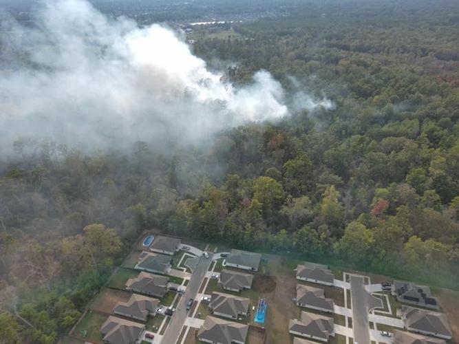 Forest fire burned 160 acres, forced evacuation in Ascension | News ...