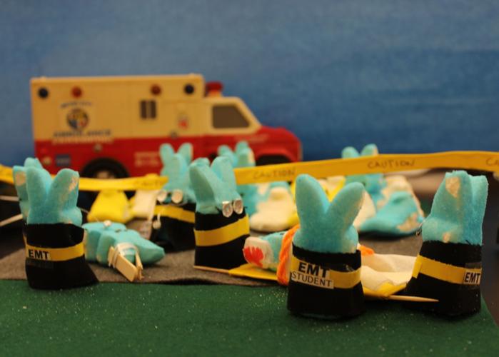 Create a "Louisiana Easter" Peeps diorama | Entertainment/Life ...