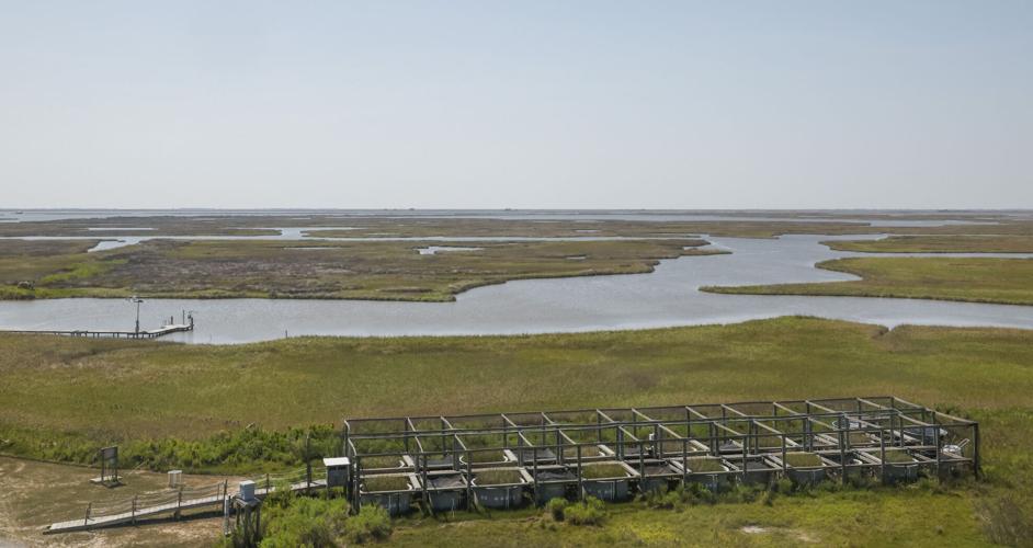 Deepwater Horizon fallout still being studied 15 years later | Business ...