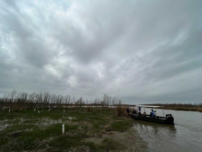 Miss. River break part of debate over LA's coastal future | Environment ...