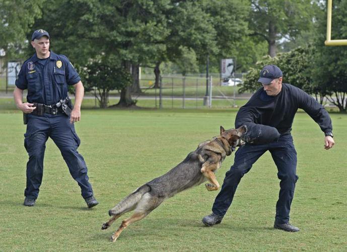 Photos, video: Police canine skills showcased in Baton Rouge event ...