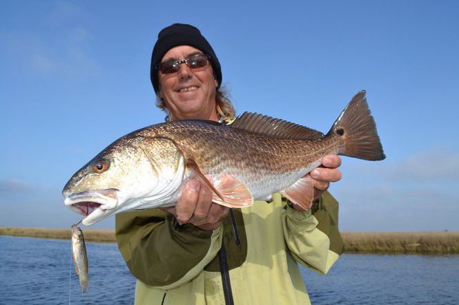 10 fascinating redfish facts | Louisiana Outdoors | theadvocate.com