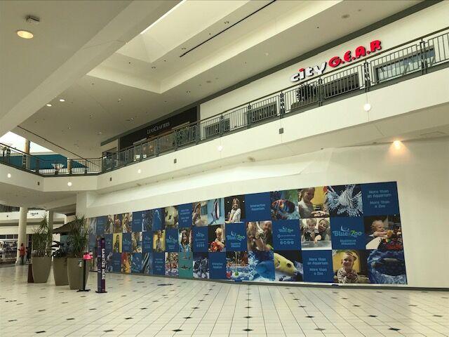 Blue Zoo Aquarium in Mall of Louisiana sets opening date; here are the ...