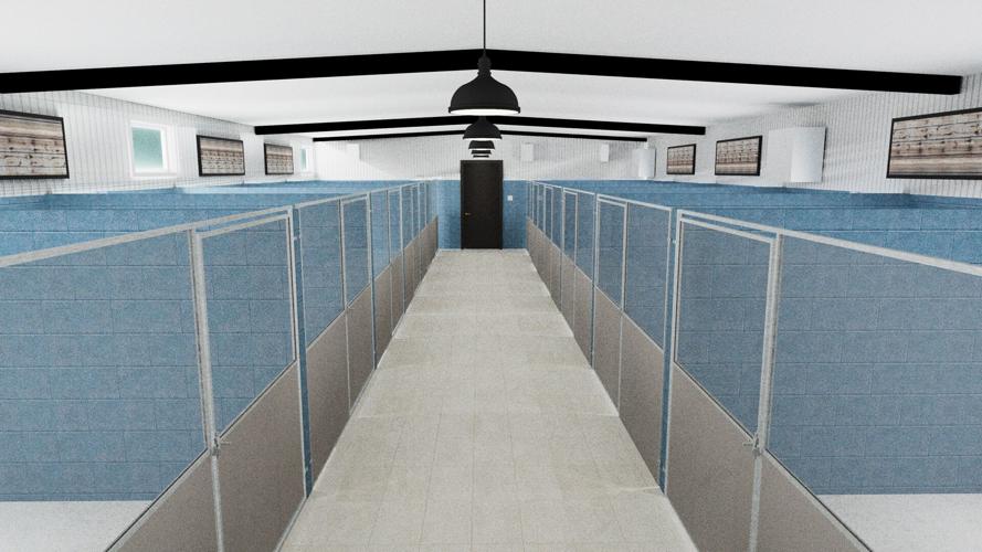 Acadiana Animal Aid's shelter is gearing up for a $250,000 facelift ...