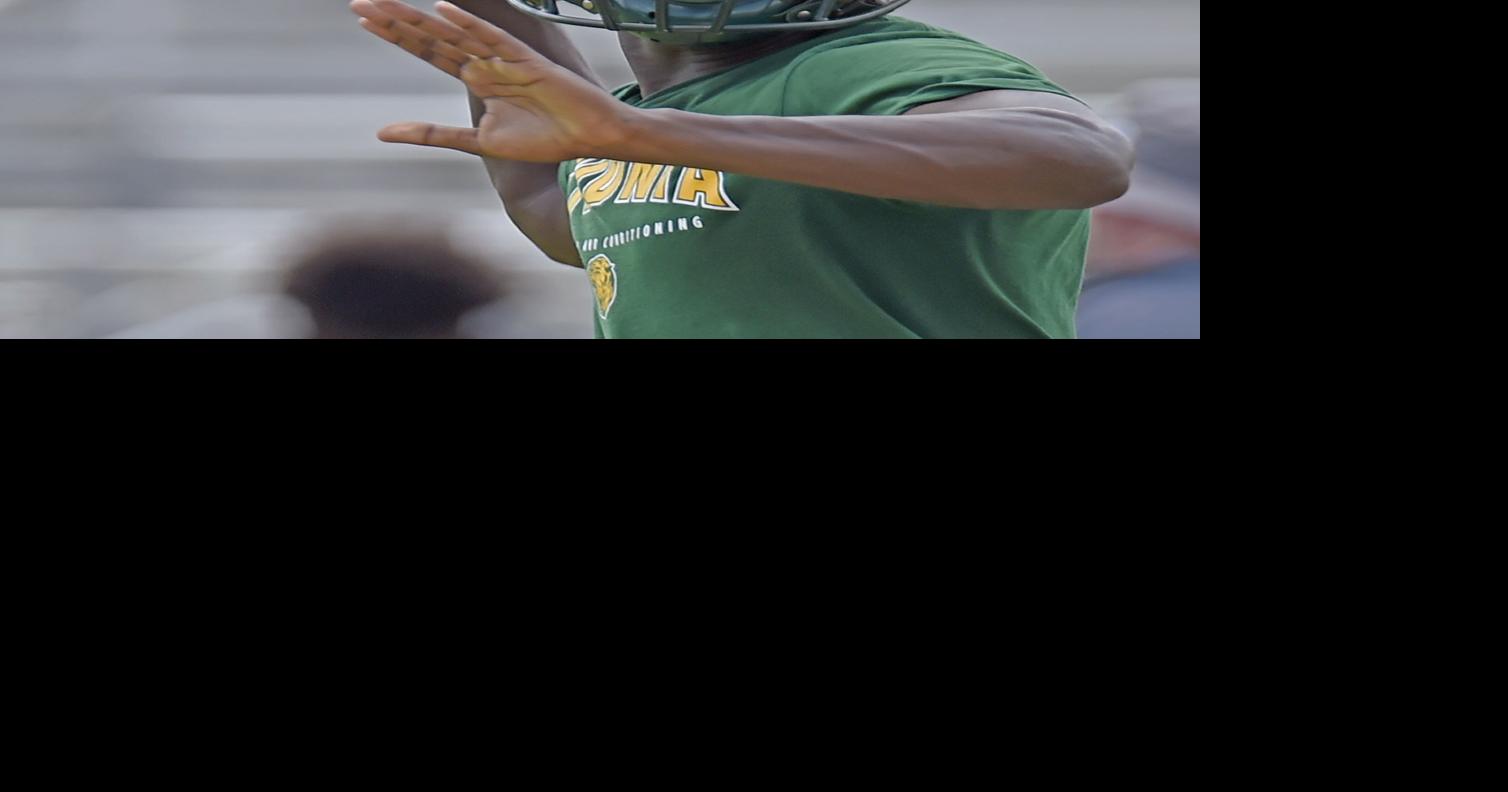 All is Wells: Livonia looks to senior quarterback Kerri Wells for ...