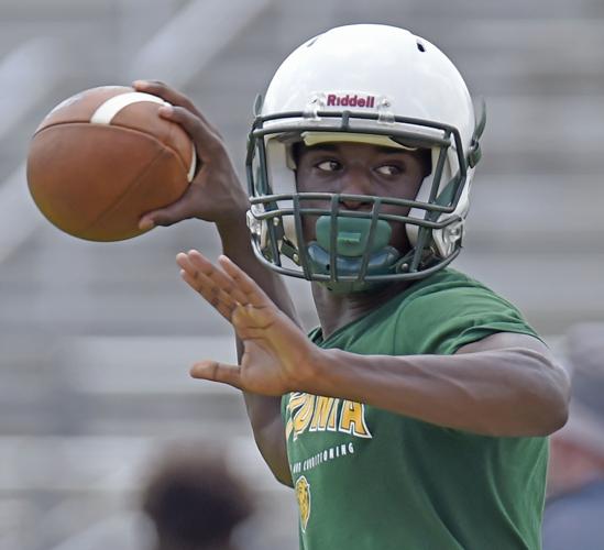 All is Wells: Livonia looks to senior quarterback Kerri Wells for ...