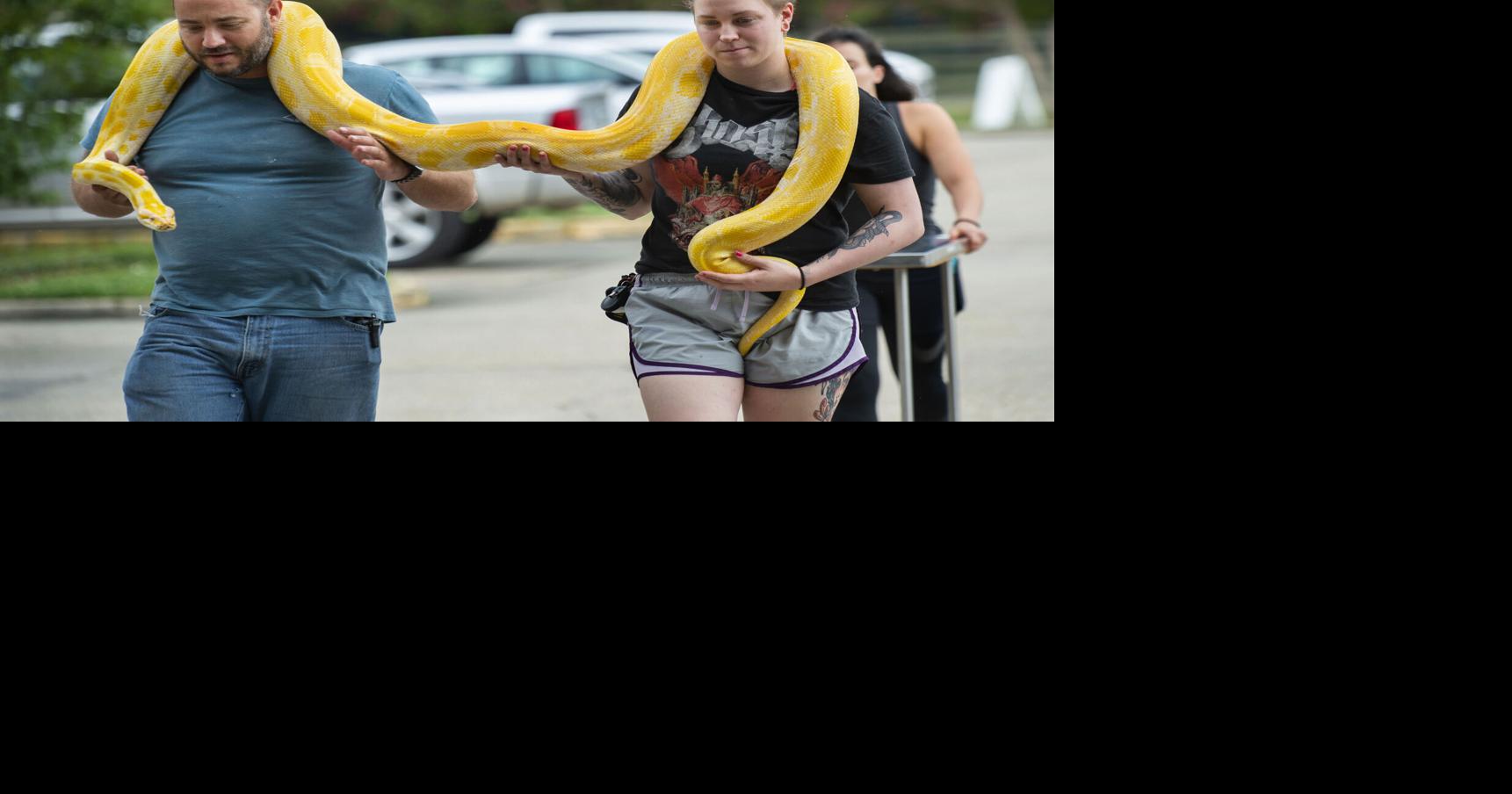 Mall python's escape ends after 74 hours: 'It's the happy ending that ...