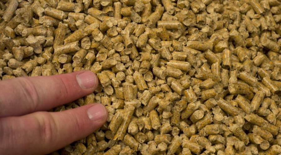 Power from pellets Drax facilities boost timber industry in Louisiana ...