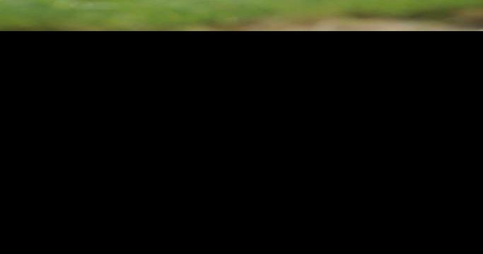 Michael Smith, Brian Rowell hope to catch spark at Chitimacha Louisiana ...