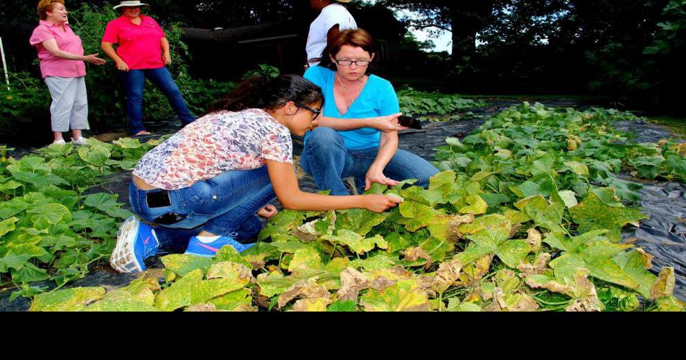 Southern, SARE program host tour of farms | St. Helena | theadvocate.com
