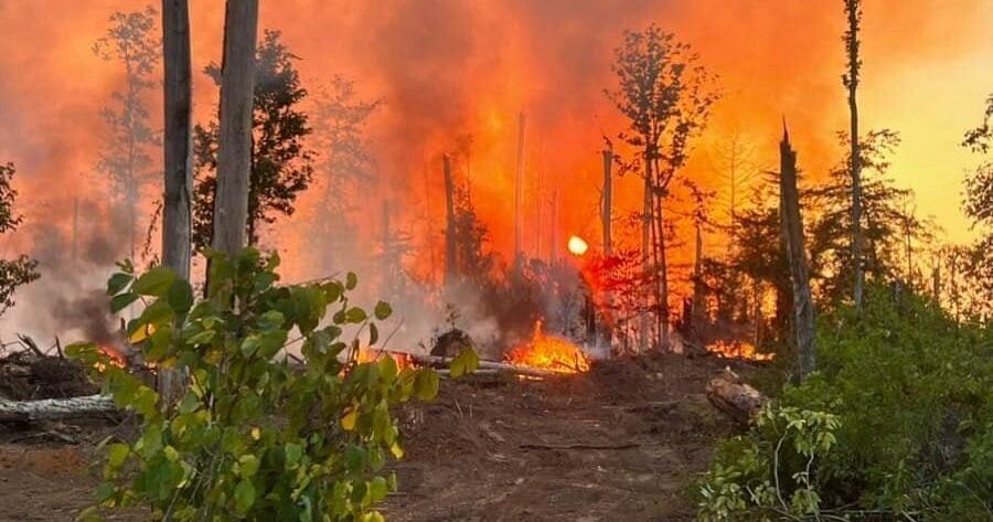 Louisiana wildfires, including Tiger Island fire, burn | News ...