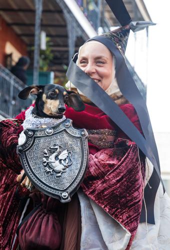 Barkus announces 'Big Bark Theory' parade theme for 2019 | Events ...