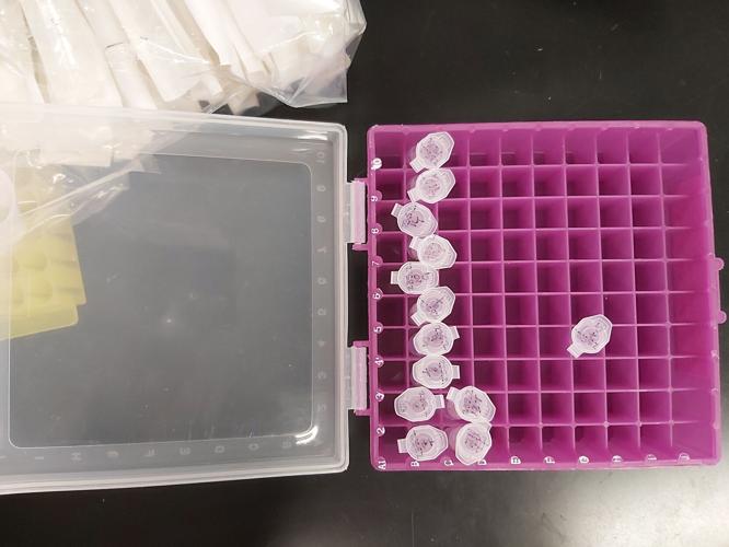 BRCC sponge research project breaks ground, opens doors | Louisiana ...