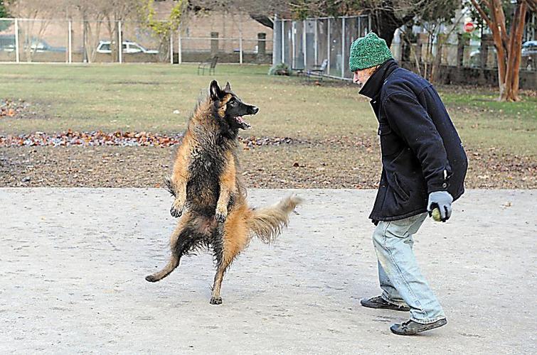New Orleans' dog park plan | News | theadvocate.com